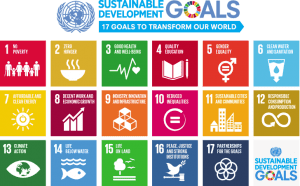 Animal Welfare and the UN’s Sustainable Development Goals (SDGs)