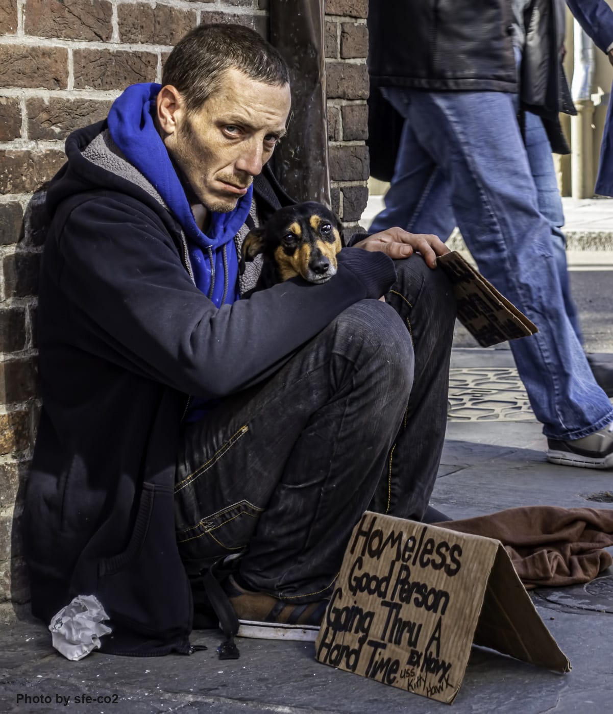 The Homeless and their Pets – WellBeing International, Inc.