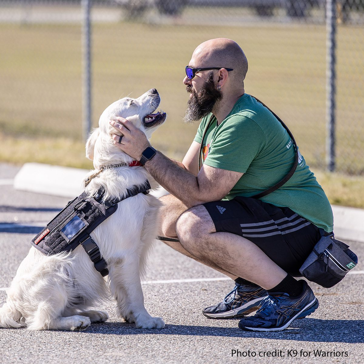 Service Dogs for Veterans – WellBeing International, Inc.