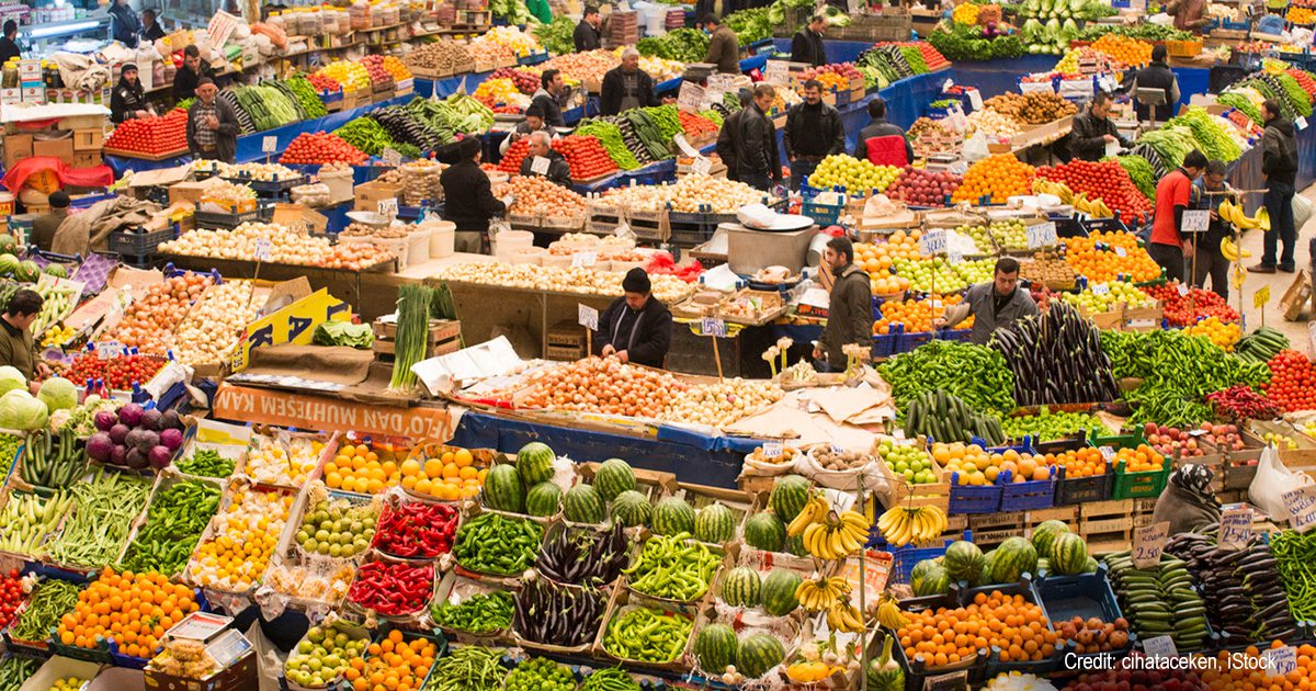 The EAT-Lancet Commission's 2025 Report – WellBeing International, Inc.